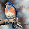 Roby's Fine Art and Prints - Originals Page